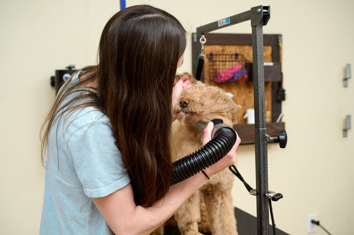 AIR FORCE® MASTER BLASTER PET DRYER