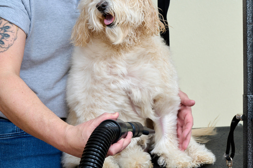AIR FORCE® MASTER BLASTER PET DRYER