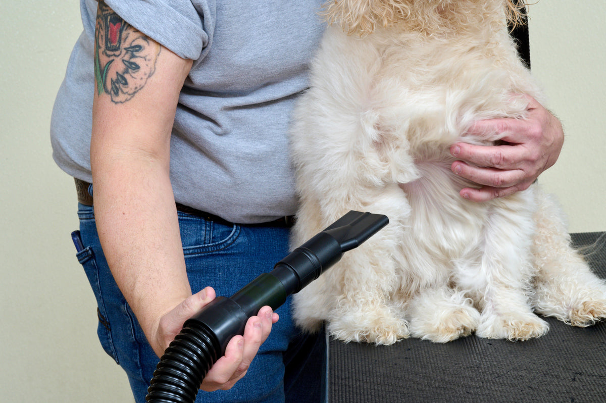 AIR FORCE® MASTER BLASTER PET DRYER